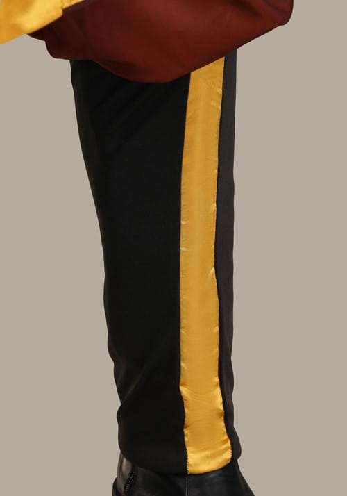 Avatar: The Last Airbender Deluxe Adult Zuko Costume | TV Show Costumes